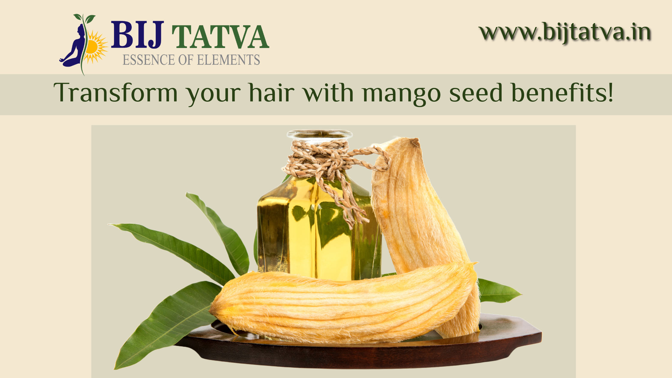 5 Powerful Herbs in Our Mango Seed Hair Mask & How They Work Together ...